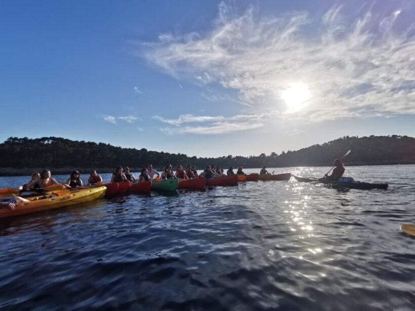 Dubrovnik: Sea Kayaking Tour - Analyzing the Value