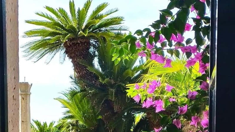 Dubrovnik Views & Trsteno Botanical Garden Experience - Practicalities and Value