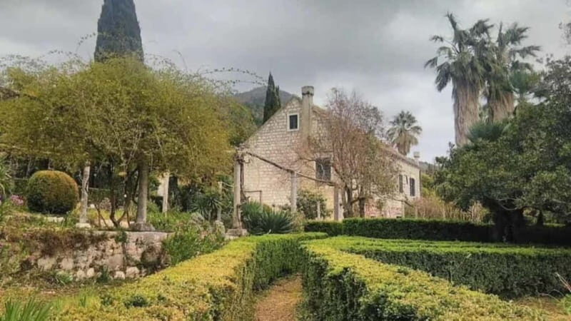 Dubrovnik Views & Trsteno Botanical Garden Experience - Authentic Experiences and Feedback