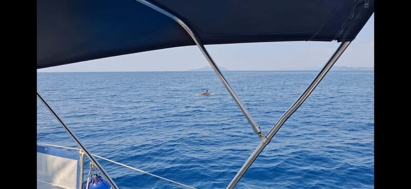 Dubrovnik yacht cruise - Private tour to Elafity & Blue cave - Dubrovnik Yacht Cruise – Private Tour to Elafiti & Blue Cave: A Deep Dive into Authentic Dalmatian Sailing