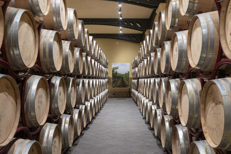 Duca di Salaparuta: Tour of the winery and wine tastings - The Sum Up: Is This Experience Worth It?