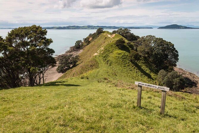 Duder Regional Park Half-Day Walking Tour - Key Points