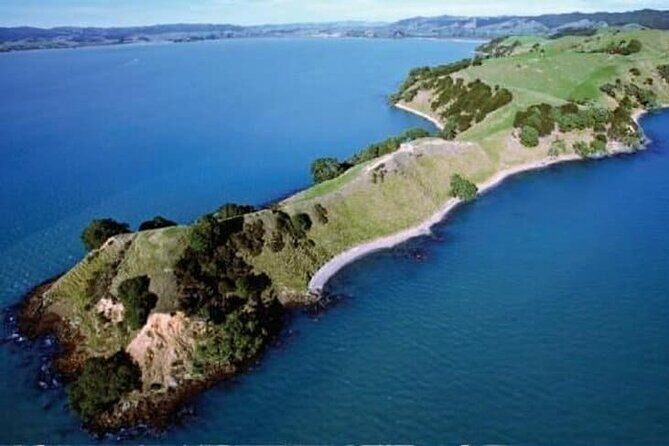 Duder Regional Park Half-Day Walking Tour - An In-Depth Look at the Duder Regional Park Experience