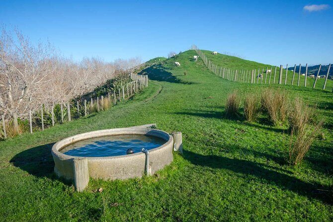 Duder Regional Park Half-Day Walking Tour - Who Should Consider This Tour?