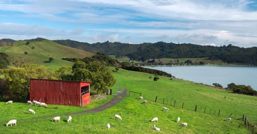 Duder Regional Park Walking Tours - An In-Depth Look at Duder Regional Park Walking Tours