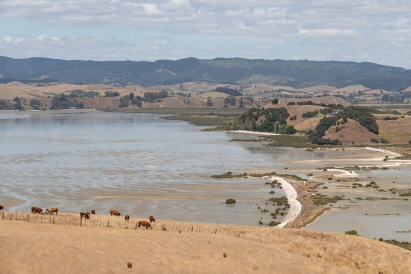 Duder Regional Park Walking Tours - Final Thoughts