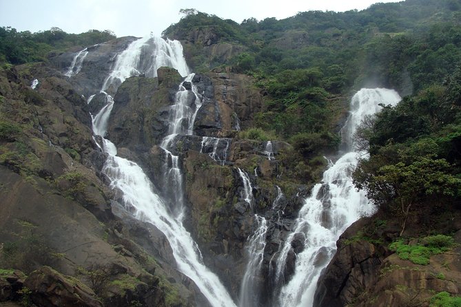 Dudhsagar waterfall wildlife & spice plantation Tour in Goa - Final Thoughts