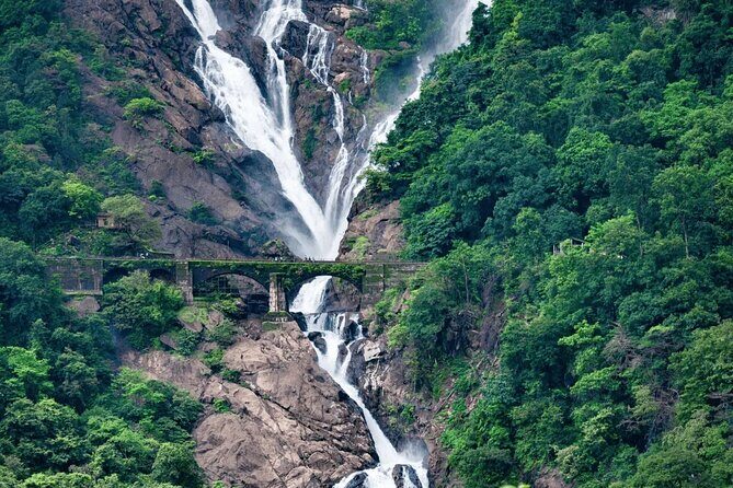 Dudhsagar Waterfalls, Jeep Safari & Spice Plantation private tour - Real Traveler Feedback: Pros and Cons