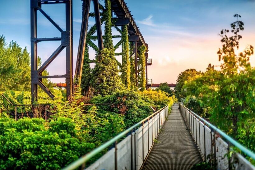 Duisburg Private Guided Walking Tour - Exploring Duisburg: A Walk Through Industry, History, and Modernity