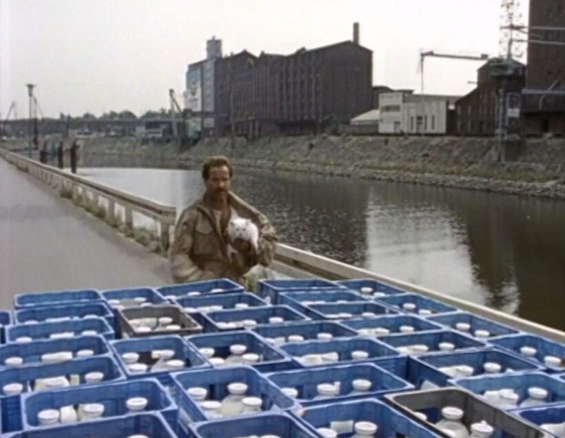 Duisburg: Schimmi Tour goes City - Why Choose the Schimmi Tour?