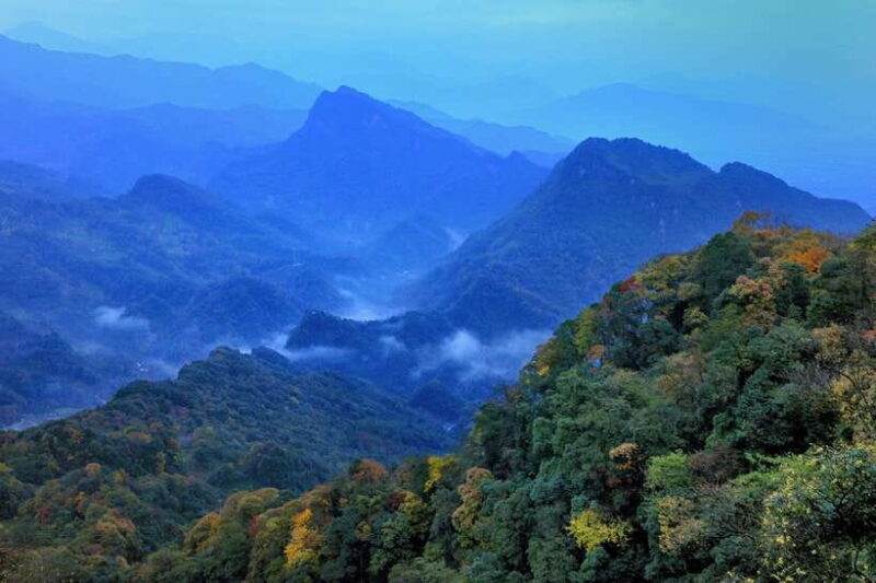 Dujiangyan: Irrigation System & Qingcheng Mountain Day Tour - Who Will Enjoy This Tour?