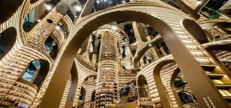 Dujiangyan panda base and irrigation system park day tour - Why This Tour Works Well