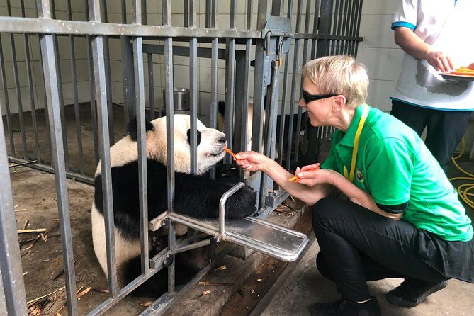 Dujiangyan Panda Base Volunteer Experience Trip - Key Points