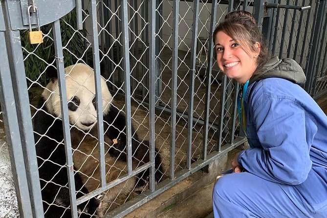 Dujiangyan Panda Volunteering Experience with Lunch - What’s Included and What’s Not