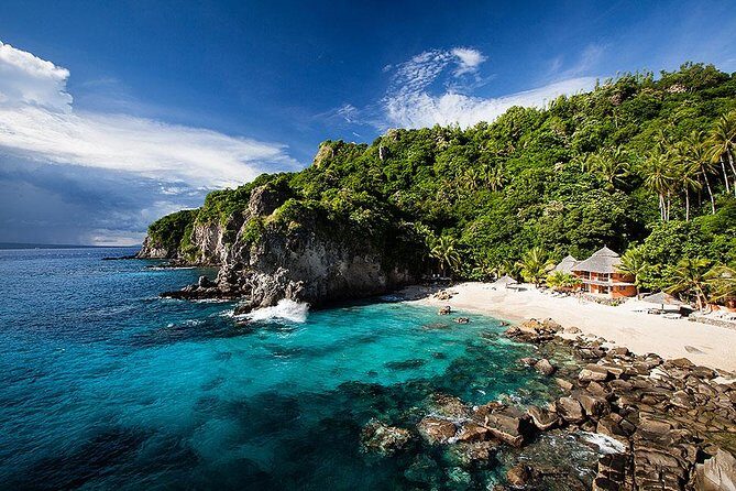 Dumaguete Apo Island Snorkeling Tour - Overview of the Apo Island Snorkeling Experience