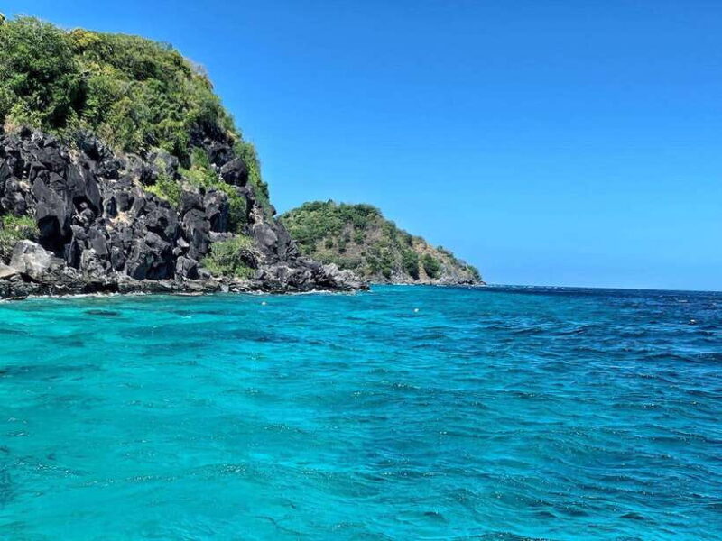 Dumaguete Apo Island with Turtle Snorkeling - Practical Details and Considerations