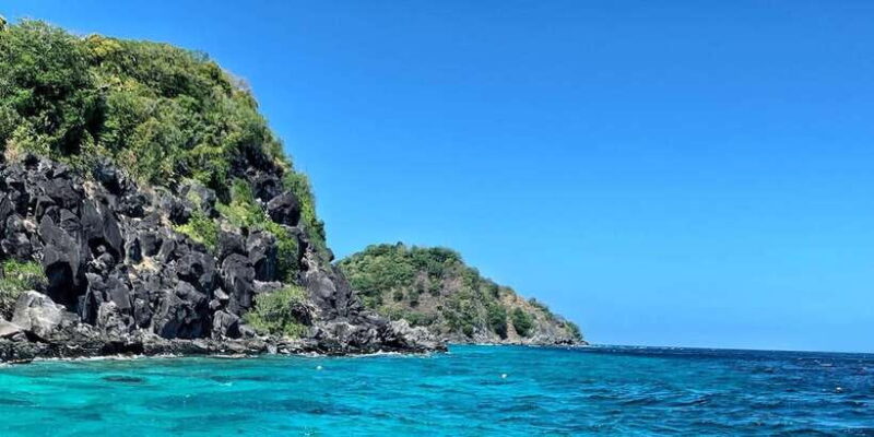 Dumaguete Apo Island with Turtle Snorkeling - Who Should Consider This Tour?