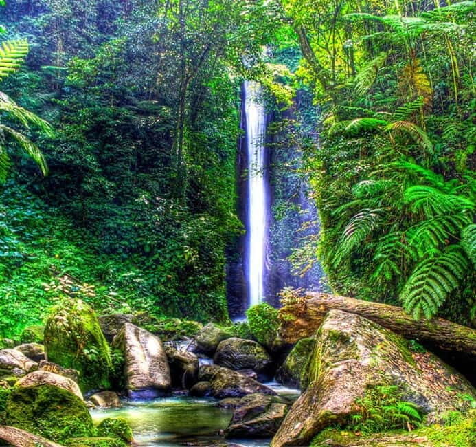 Dumaguete: Forest Camp and Casaroro Falls Day Trip - An Inside Look at the Tour Experience