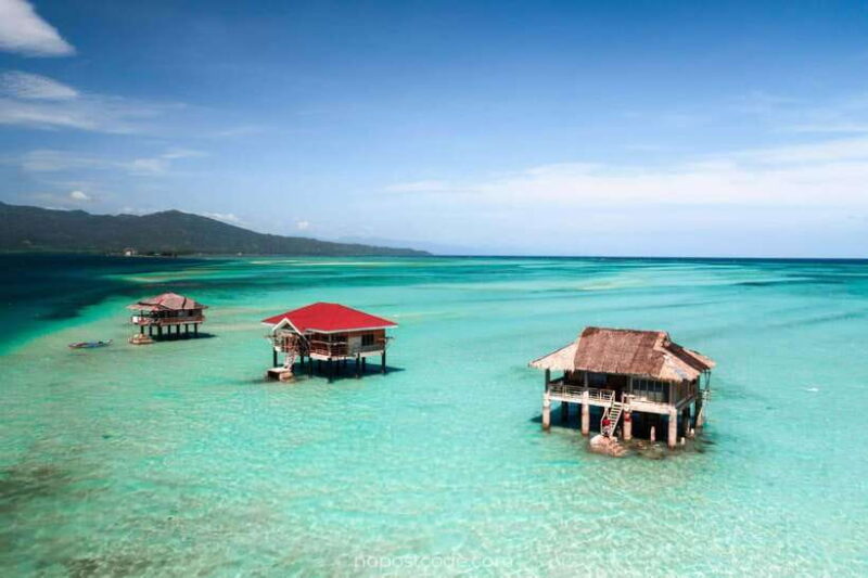 Dumaguete Manjuyod sand bar & Dolphin Watching - The Lunch and Amenities