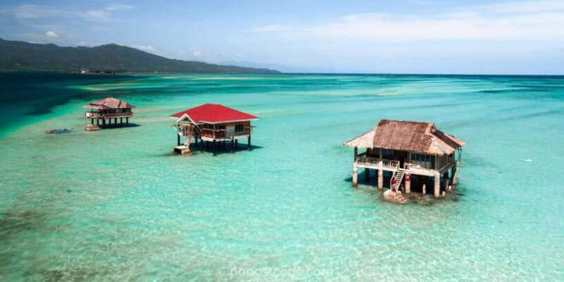 Dumaguete Manjuyod sand bar & Dolphin Watching - Authenticity and Reviews