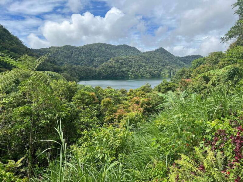 Dumaguete Tours in English - FAQ