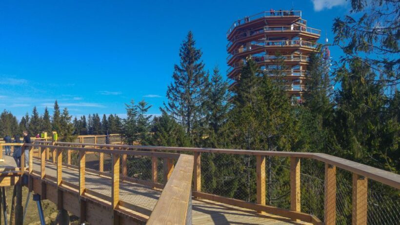 Dunajec River Gorge Rafting and Tree Top Walk from Krakow - Who Should Consider This Tour?