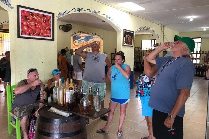 Dune Buggy Adventure, Snorkel, Mayan Town, East Coast, Tequila and City Tour - The Sum Up