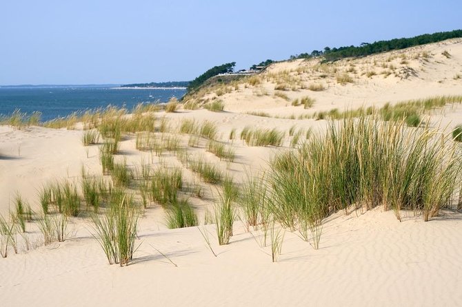 Dune Du Pilat and Oysters Tasting in Only 1 Hour Away From Bordeaux ! What Else? - Pickup and Meeting Information
