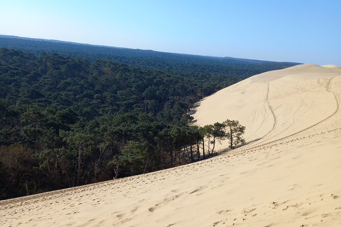 Dune Du Pilat and Oysters Tasting in Only 1 Hour Away From Bordeaux ! What Else? - What Else Can You Enjoy in the Area?