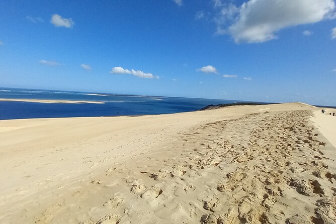 Dune Du Pilat and Oysters Tasting in Only 1 Hour Away From Bordeaux ! What Else? - The Sum Up