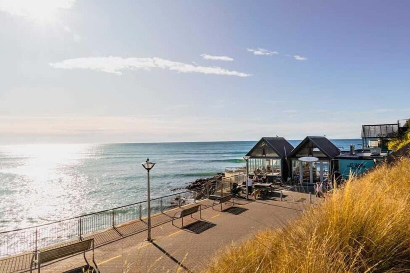 Dunedin: 3 Hour Artisan Food Walking Tour - What Makes This Tour Stand Out?