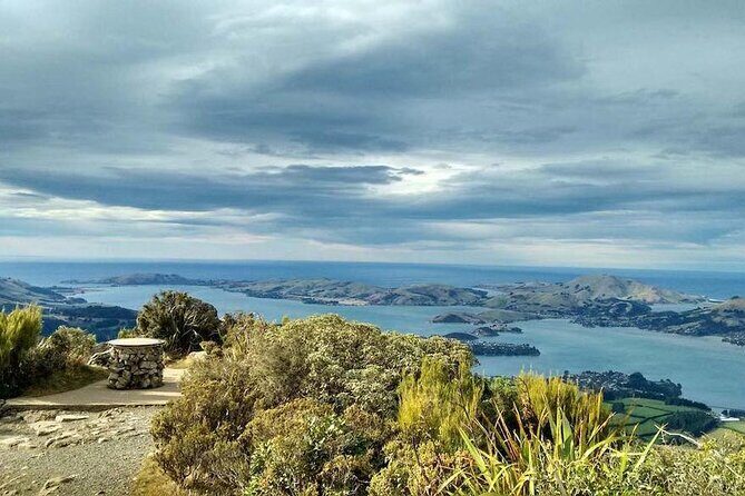 Dunedin 4 Hrs halfday Private Tour - Value of the Wildlife Experience