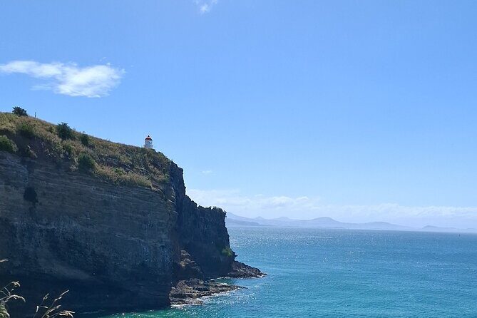 Dunedin and Otago Peninsula Tours For Up To 4 people - Key Points
