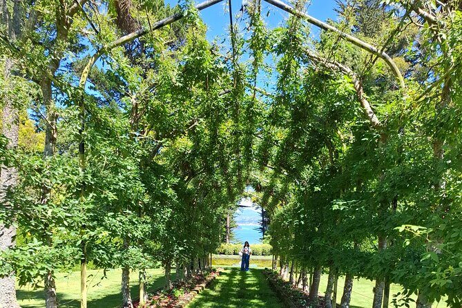 Dunedin and Otago Peninsula Tours For Up To 4 people - An In-Depth Look at the Tour Itinerary