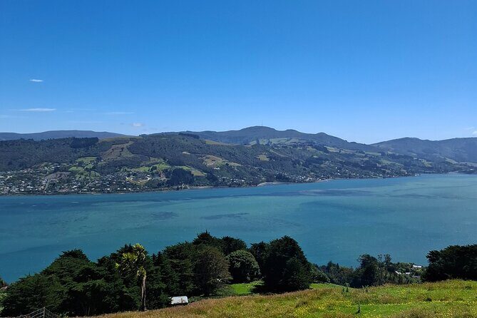 Dunedin and Otago Peninsula Tours For Up To 4 people - Who Will Love This Tour?