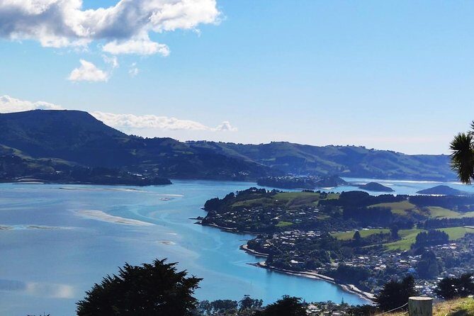 Dunedin City and Coastal Views 3-Hour Small-Group Guided Tour - Authentic Insights from Reviews