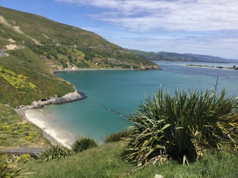 Dunedin: City Highlights and Otago Peninsula Scenery - Key Points