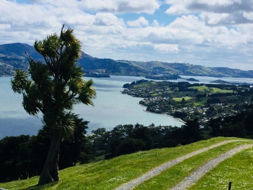 Dunedin: City Highlights and Otago Peninsula Scenery - The Itinerary: A Detailed Breakdown
