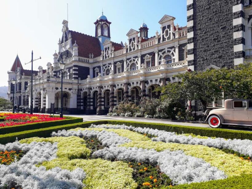 Dunedin: City Highlights and Otago Peninsula Scenery - Who Is This Tour Best For?