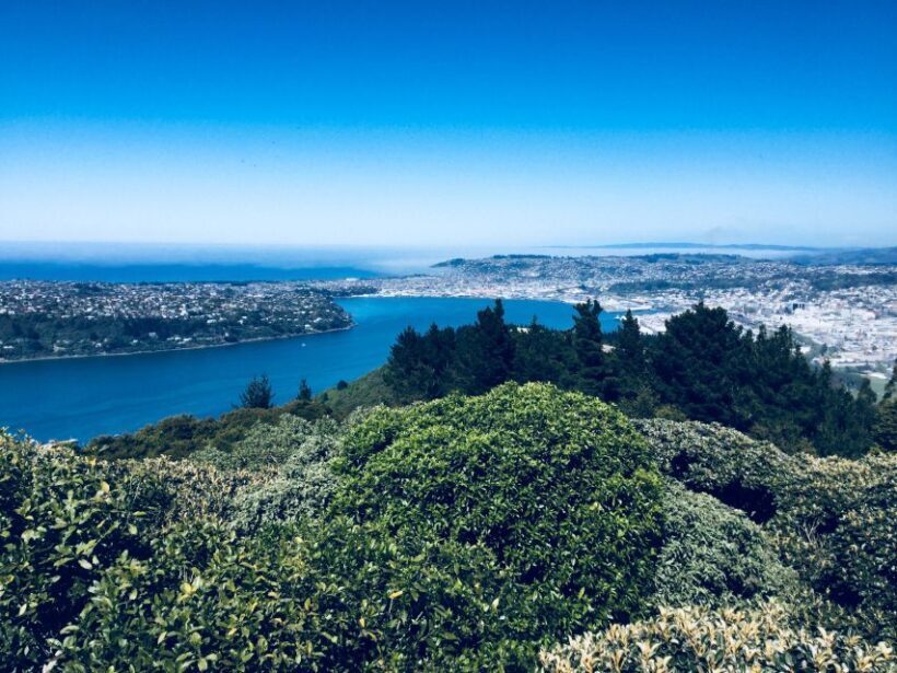 Dunedin: City Highlights and Otago Peninsula Scenery - FAQ