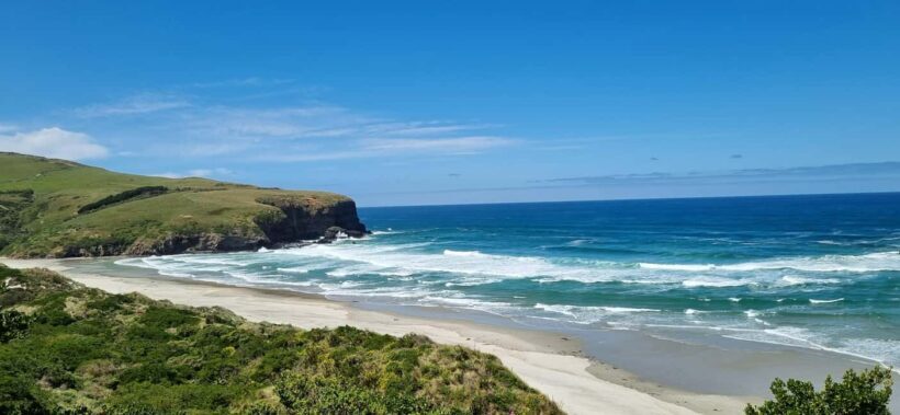 Dunedin City Highlights & Larnach Castle Tour - An In-Depth Look at What You Can Expect