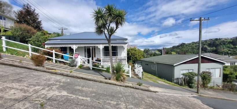 Dunedin City Highlights & Larnach Castle Tour - Who This Tour Is Best For