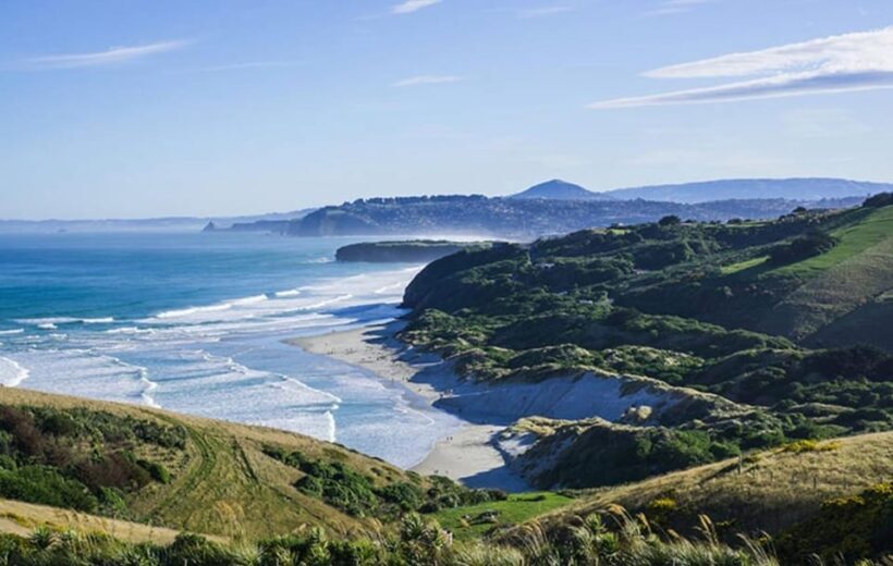 Dunedin City & Otago Peninsula Scenery Day Tour - Key Points