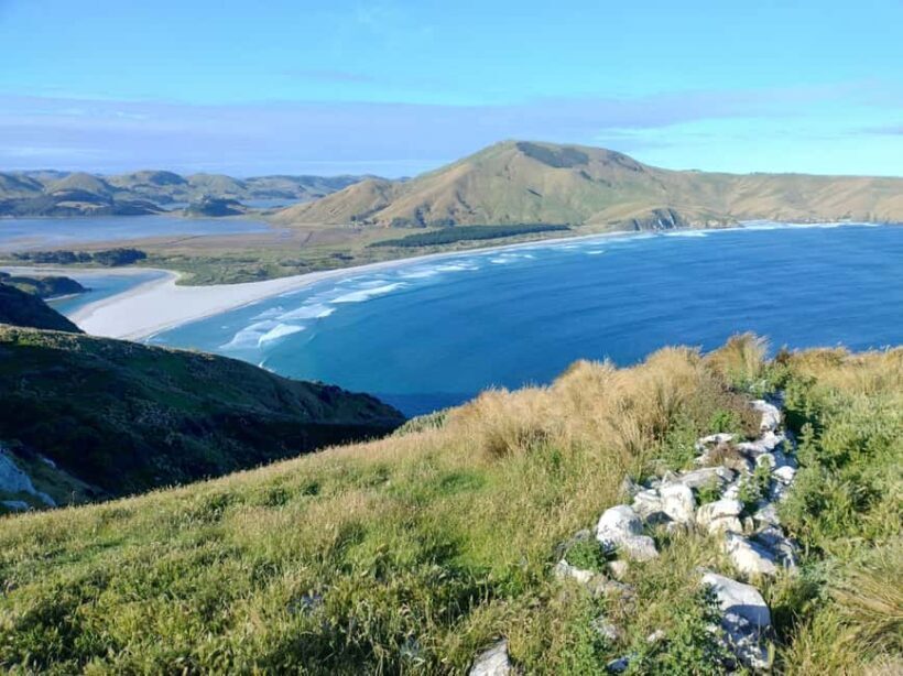 Dunedin City & Otago Peninsula Scenery Day Tour - Practical Considerations