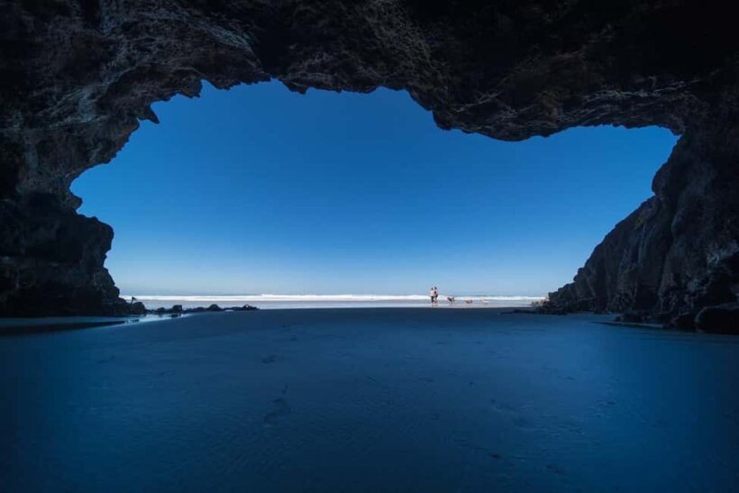 Dunedin City & Otago Peninsula Scenery Day Tour - FAQs