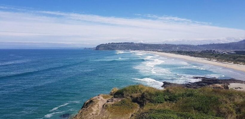 Dunedin City & Otago Peninsula Scenery Day Tour - Key Points