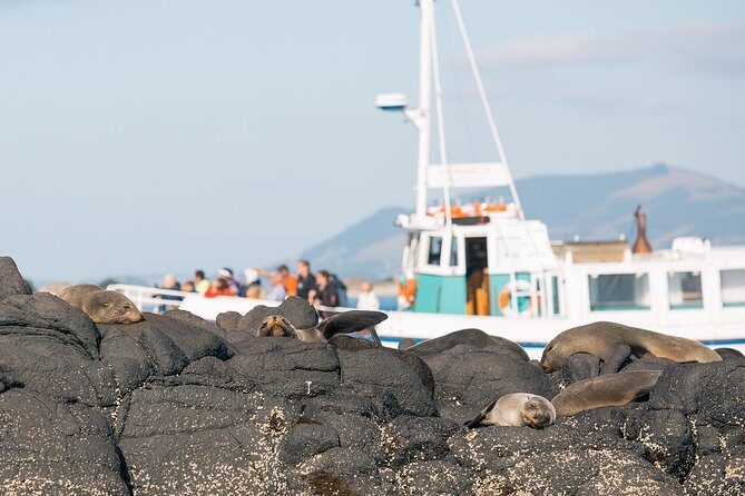 Dunedin City to Sea Wildlife Cruise + Peninsula Bus Tour - Exploring Dunedin’s Otago Peninsula: A Detailed Look at the City-to-Sea Wildlife Cruise and Bus Tour