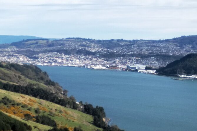 Dunedin City, Wildlife and Larnach Castle - Who Should Consider This Tour?