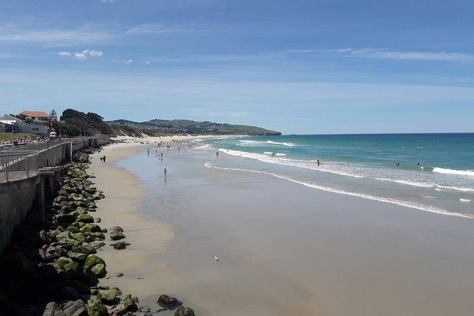 Dunedin Nature & City Tour  Full Day Cruise Excursion - An In-Depth Look at the Dunedin Nature & City Tour