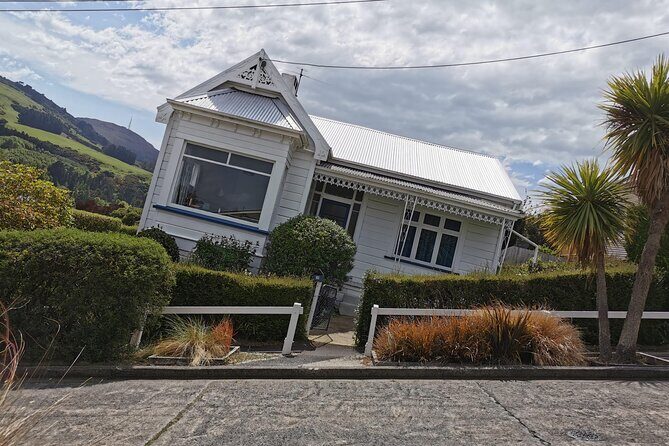 Dunedin Private Fullday Tour - The Itinerary Breakdown: What You Can Expect